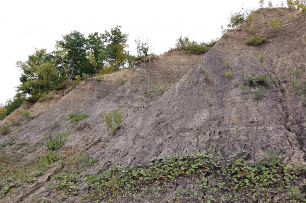 Hudson River Lake Clay Exposures | The New York State Museum