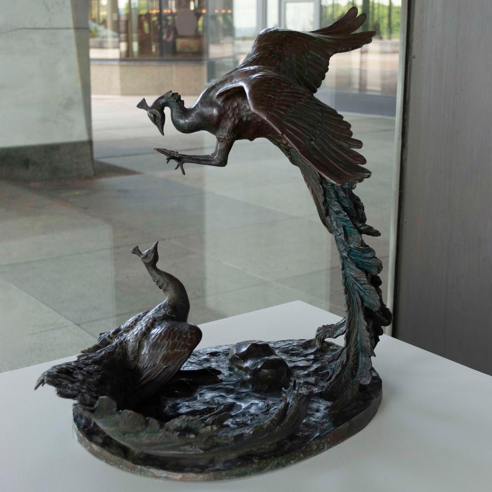 Peacocks Fighting The New York State Museum