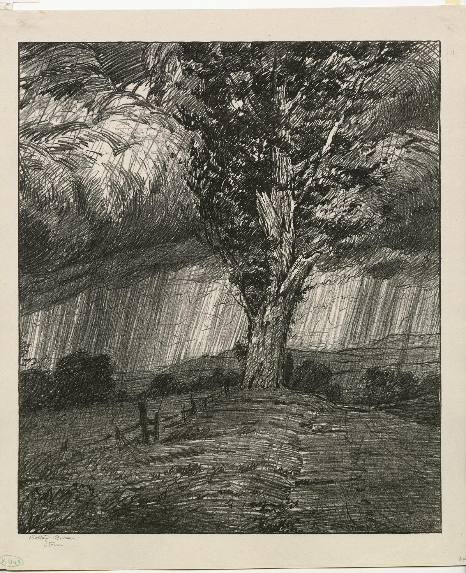 Storm | The New York State Museum