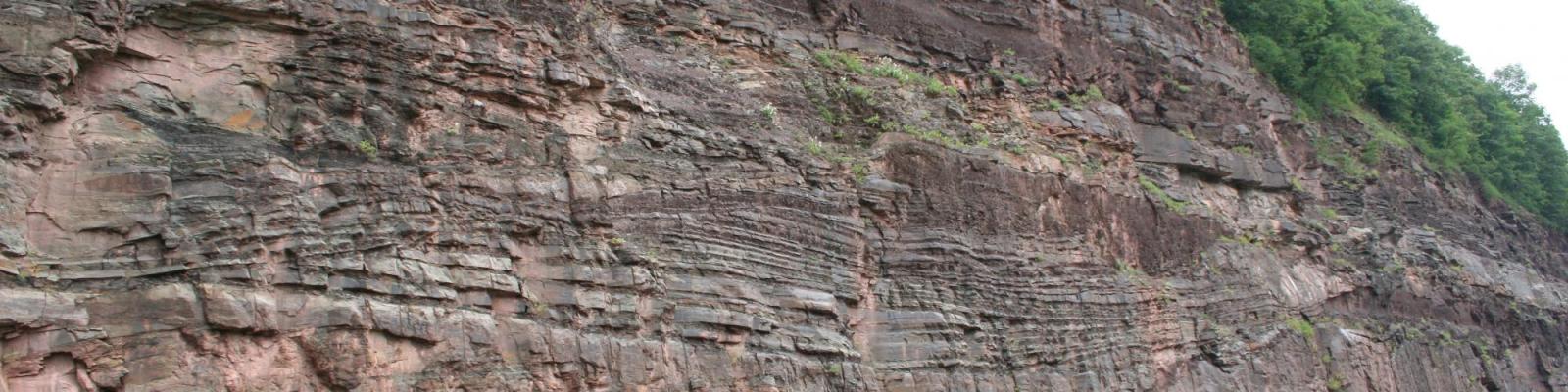 Pyrites Complex, Adirondack Lowlands | The New York State Museum
